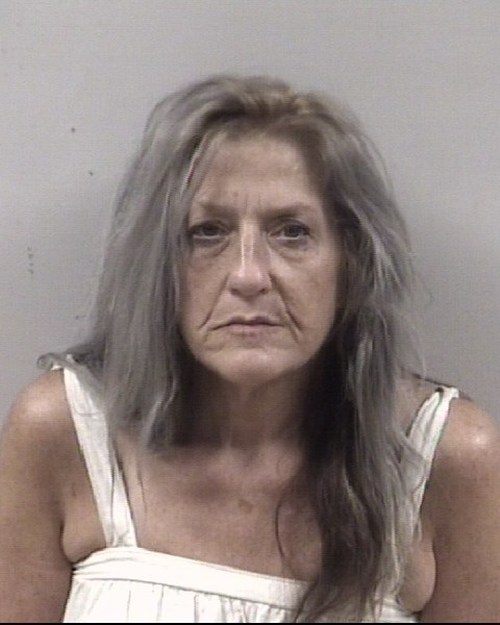 LYNN ALLISON COATS LEE 04/29/2021 - Johnston County Mugshots Zone