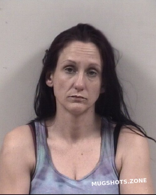 ERIN MELISSA REAMS 05/13/2021 - Johnston County Mugshots Zone