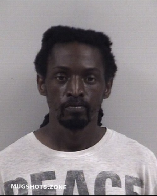 Walter Leon Griffin 06 22 2021 Johnston County Mugshots Zone
