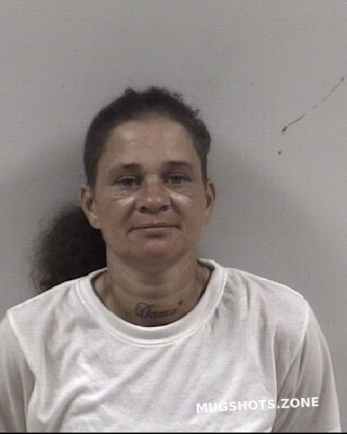 NICOLE LOCKLEAR 07/29/2021 - Johnston County Mugshots Zone