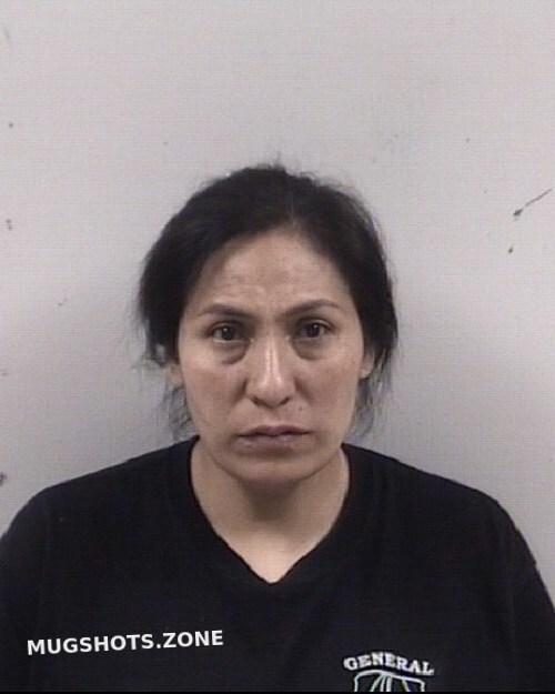 MICHELLE MENDOZA 08/06/2021 - Johnston County Mugshots Zone