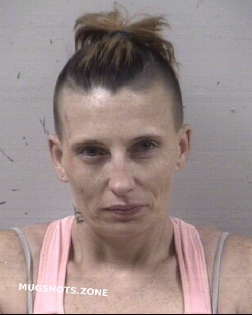 HEATHER ANN MOZINGO 10/19/2021 - Johnston County Mugshots Zone