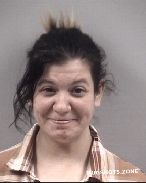 KATIE ALISON HINCHMAN 01/12/2022 - Johnston County Mugshots Zone