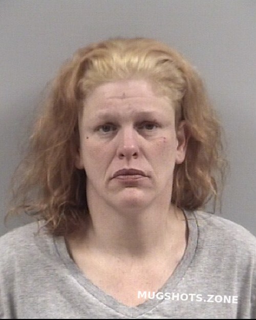 CYNTHIA DAWN PERRY 01/13/2022 - Johnston County Mugshots Zone