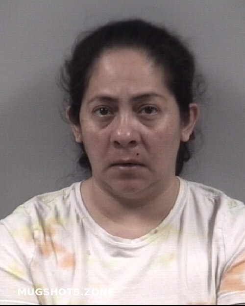 MARIA DEJESUS RIVAS 03/04/2022 - Johnston County Mugshots Zone