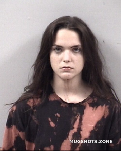 CHANDLER HELLEN MARIE HIGGINS 06/03/2022 - Johnston County Mugshots Zone