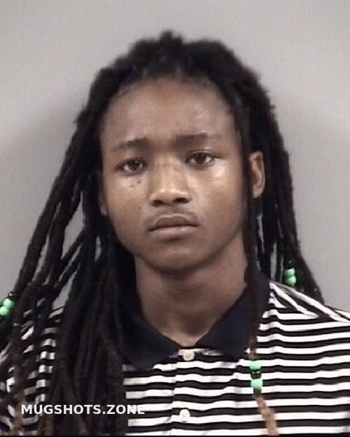 QUENTIN DION J HOWELL 07/12/2022 - Johnston County Mugshots Zone