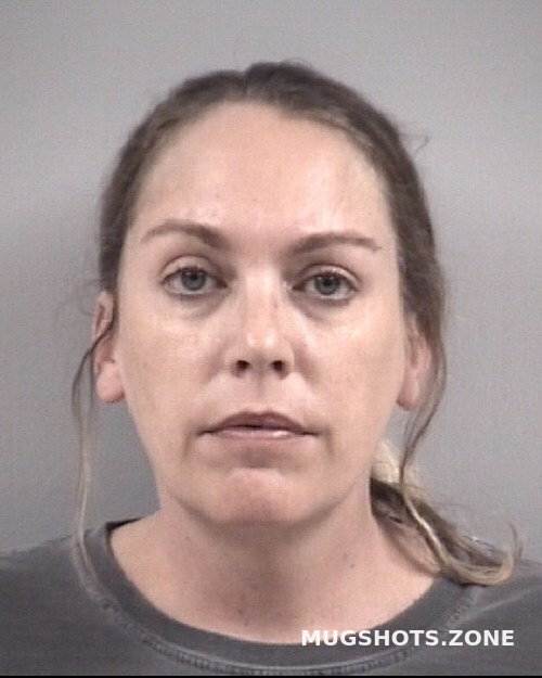 DEENA CORRINE LONG 11/02/2022 - Johnston County Mugshots Zone