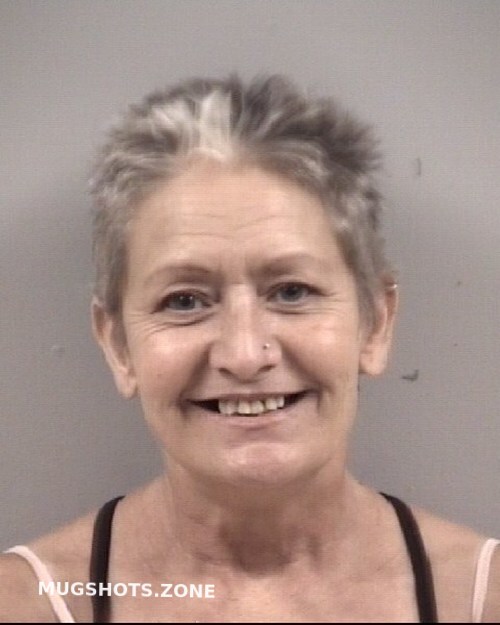MICHELLE LEIGH HAMILTON-HERNANDEZ 11/07/2022 - Johnston County Mugshots ...