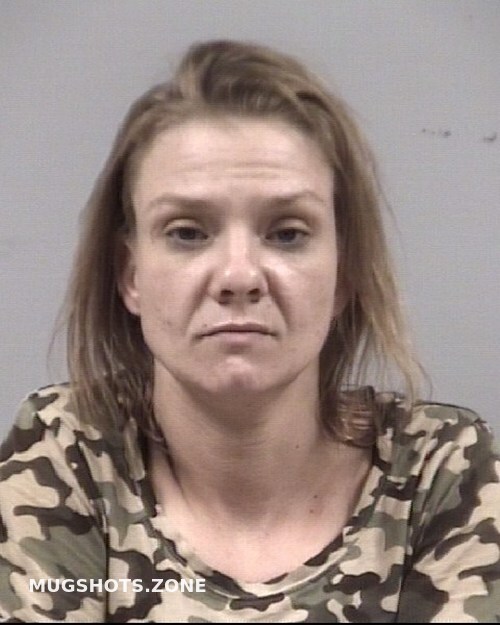 DANIELLE MARIE SISSON 11/09/2022 - Johnston County Mugshots Zone
