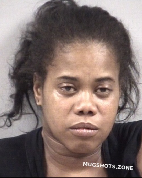 MYCHEL DONDRA WILLIAMS 11/14/2022 - Johnston County Mugshots Zone