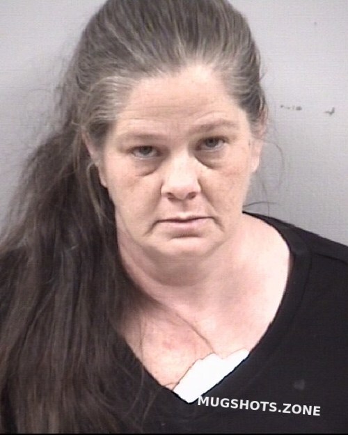 STEPHANIE GAIL SASSER 11/21/2022 - Johnston County Mugshots Zone