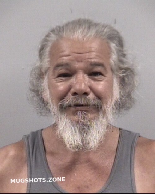 JAMIE MENDOZA 11/29/2022 - Johnston County Mugshots Zone