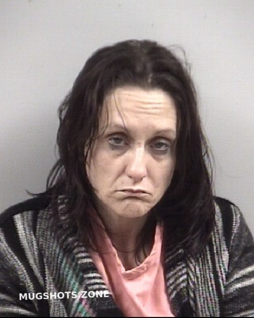 ERIN MELISSA REAMS 12/11/2022 - Johnston County Mugshots Zone