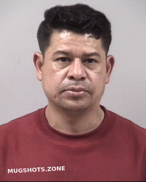 JULIO CESAR PALMA SUAREZ 01/01/2023 - Johnston County Mugshots Zone