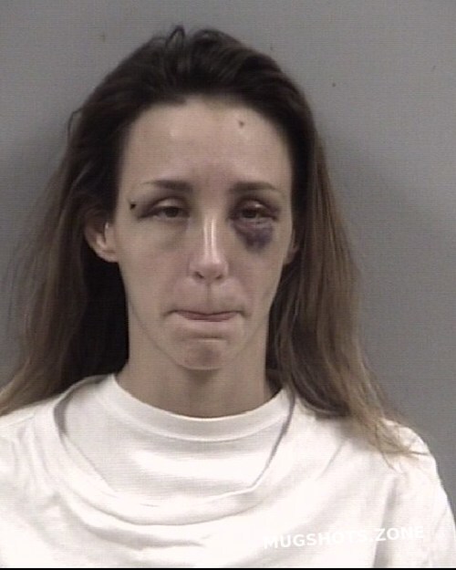 TAYLYNN DANDRON 01/15/2023 - Johnston County Mugshots Zone