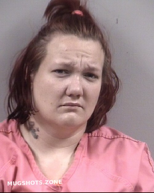 TABITHA FAITH BRINKLEY 01/20/2023 - Johnston County Mugshots Zone