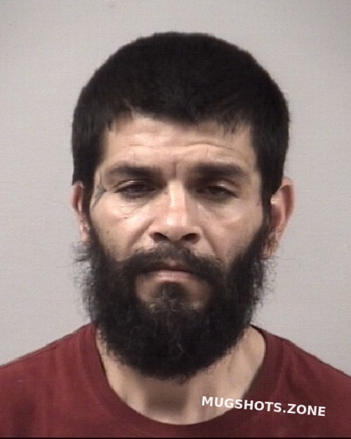 HECTOR MOLINA GOMEZ 02/19/2023 - Johnston County Mugshots Zone