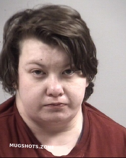 JANIE MICHELLE ANDERSON 02/19/2023 - Johnston County Mugshots Zone