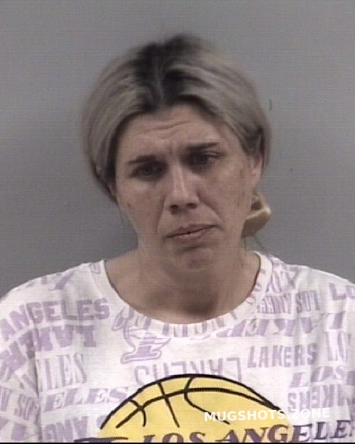 LACEY RAYE JOHNSON 03/11/2023 - Johnston County Mugshots Zone