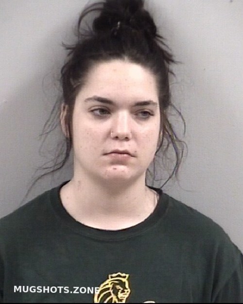 CHANDLER HELLEN MARIE HIGGINS 03/12/2023 - Johnston County Mugshots Zone