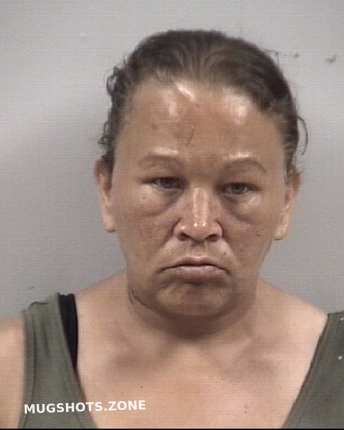 JESSICA LOCKLEAR 05/20/2023 - Johnston County Mugshots Zone