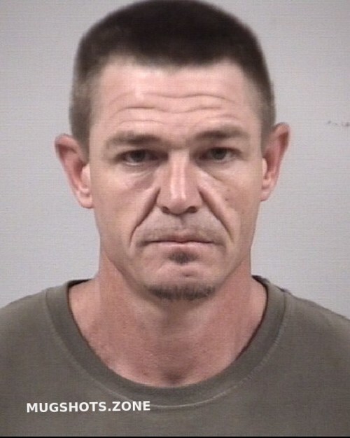 JAMIE LEE JOHNSON 05/26/2023 - Johnston County Mugshots Zone