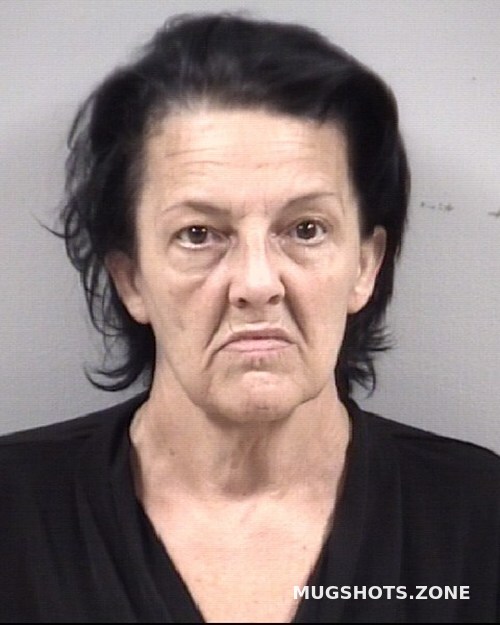 TRACEY LEIGH DUDLEY 07/03/2023 - Johnston County Mugshots Zone