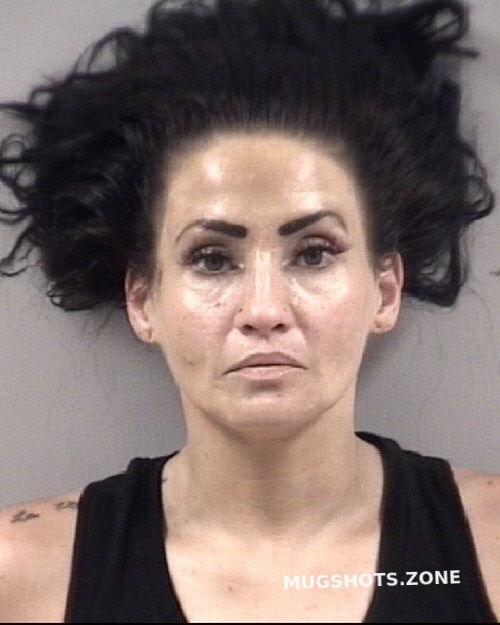 HEATHER ELIZABETH HASSLER 07/11/2023 - Johnston County Mugshots Zone