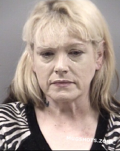 MINNIE ANN REYES 07/25/2023 - Johnston County Mugshots Zone