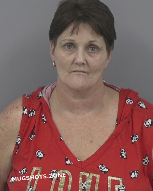 TRACEY SAVOY 08/26/2023 - Johnston County Mugshots Zone
