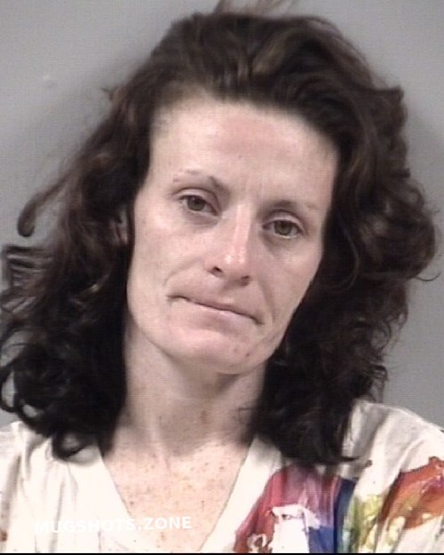 MEGAN CHRISTINA BEASLEY 09/06/2023 - Johnston County Mugshots Zone