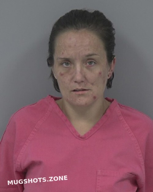 KRISTI MARIE ROBINSON 10/16/2023 - Johnston County Mugshots Zone