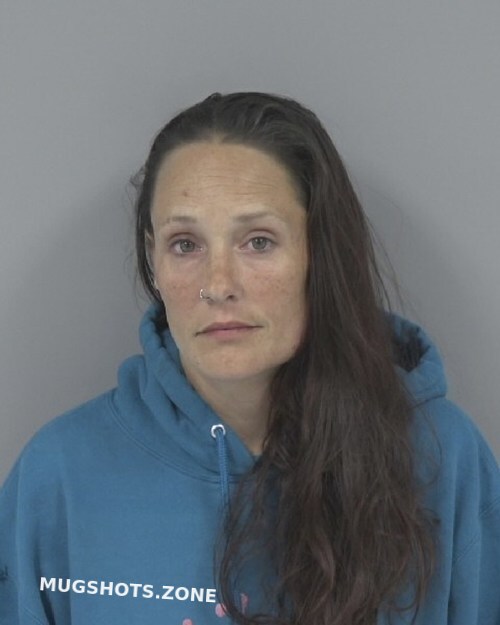 TANYA MARIE KEHLER 10/28/2023 - Johnston County Mugshots Zone