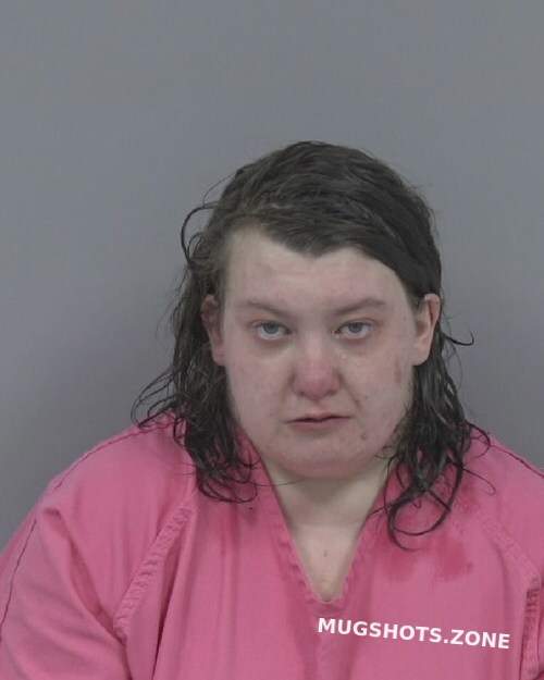 JANIE MICHELLE ANDERSON 11/12/2023 - Johnston County Mugshots Zone