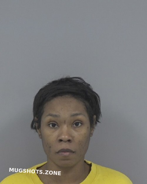 DARSHELL MONIQUE HARTZOG 11/13/2023 - Johnston County Mugshots Zone