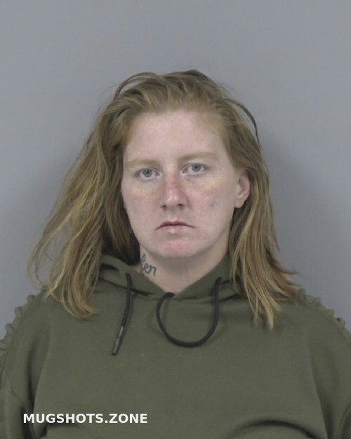 ALISON LOUISE HILL 11/16/2023 - Johnston County Mugshots Zone