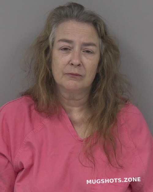 LISA SQUIER 11/17/2023 - Johnston County Mugshots Zone