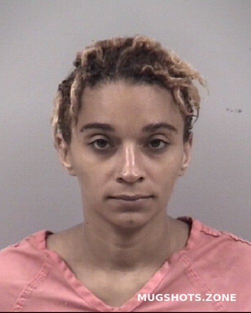 SARAH LOUISE MASSENGILL 11/17/2023 - Johnston County Mugshots Zone