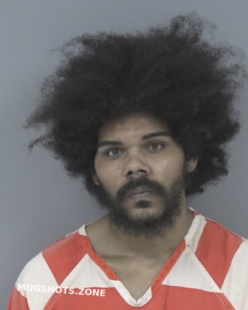 CAMERON ELIJAH HAIRSTON 11/18/2023 - Johnston County Mugshots Zone