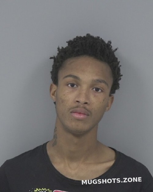 TRAVION DEKWON JACKSON 01/01/2024 - Johnston County Mugshots Zone