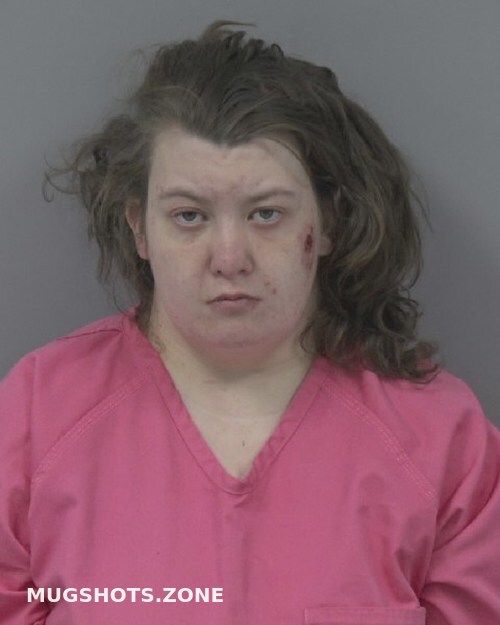 JANIE MICHELLE ANDERSON 01/11/2024 - Johnston County Mugshots Zone
