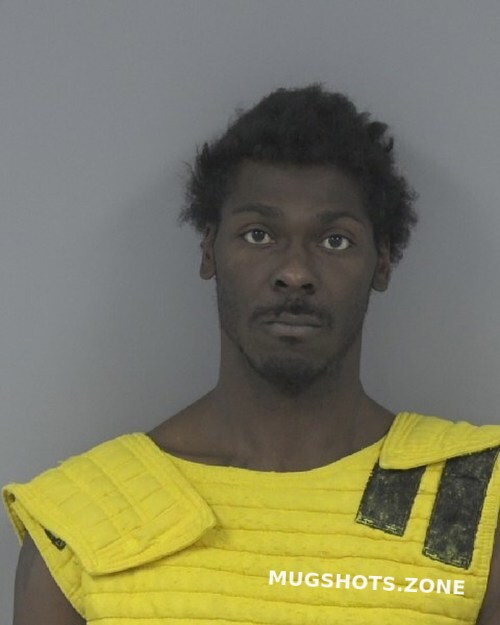 BRIAN DARNELL HOPKINS 01/13/2024 - Johnston County Mugshots Zone