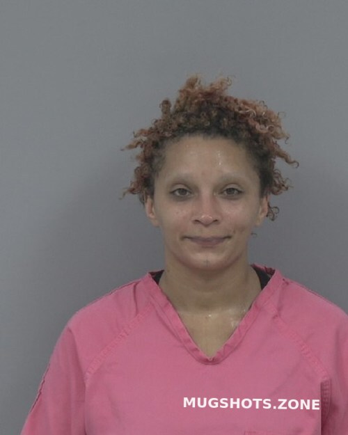 SARAH LOUISE MASSENGILL 01/14/2024 - Johnston County Mugshots Zone