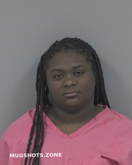 MAKAYLA MIRACLE JOHNSON 01/17/2024 - Johnston County Mugshots Zone