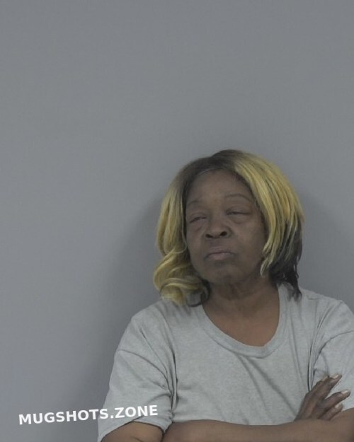 DORIS FAYE HOLDER 02/03/2024 - Johnston County Mugshots Zone