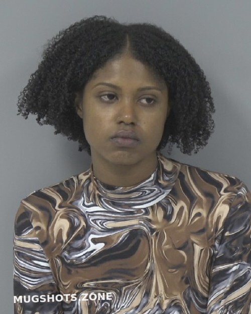 TIERRA DOMINIQUE COOK 02/15/2024 - Johnston County Mugshots Zone