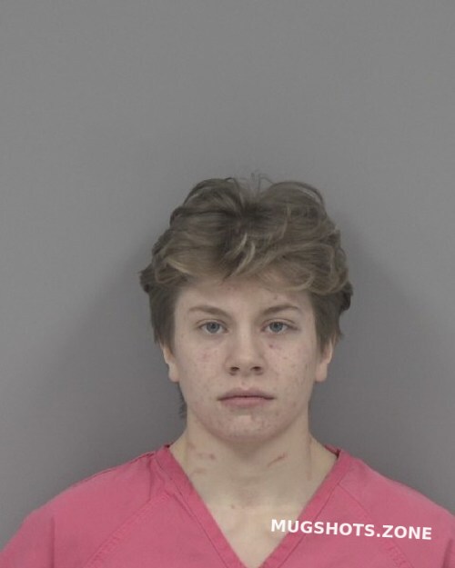 GIANNA ROSE OLIVIERI 02/22/2024 - Johnston County Mugshots Zone