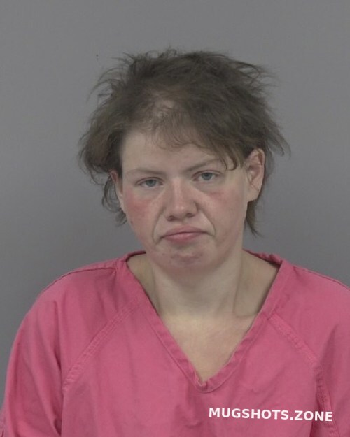 KAYLA ANASTASIA HOGAN 03/09/2024 - Johnston County Mugshots Zone