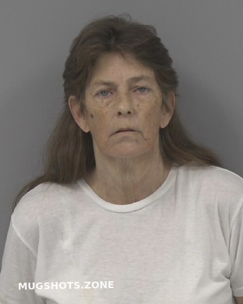 ALLISON POOLE BARBOUR 03/16/2024 - Johnston County Mugshots Zone